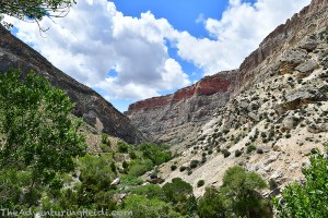 Chasing Waterfalls & Adventures in Wyoming’s Bighorn Mountains – Day 2 ...