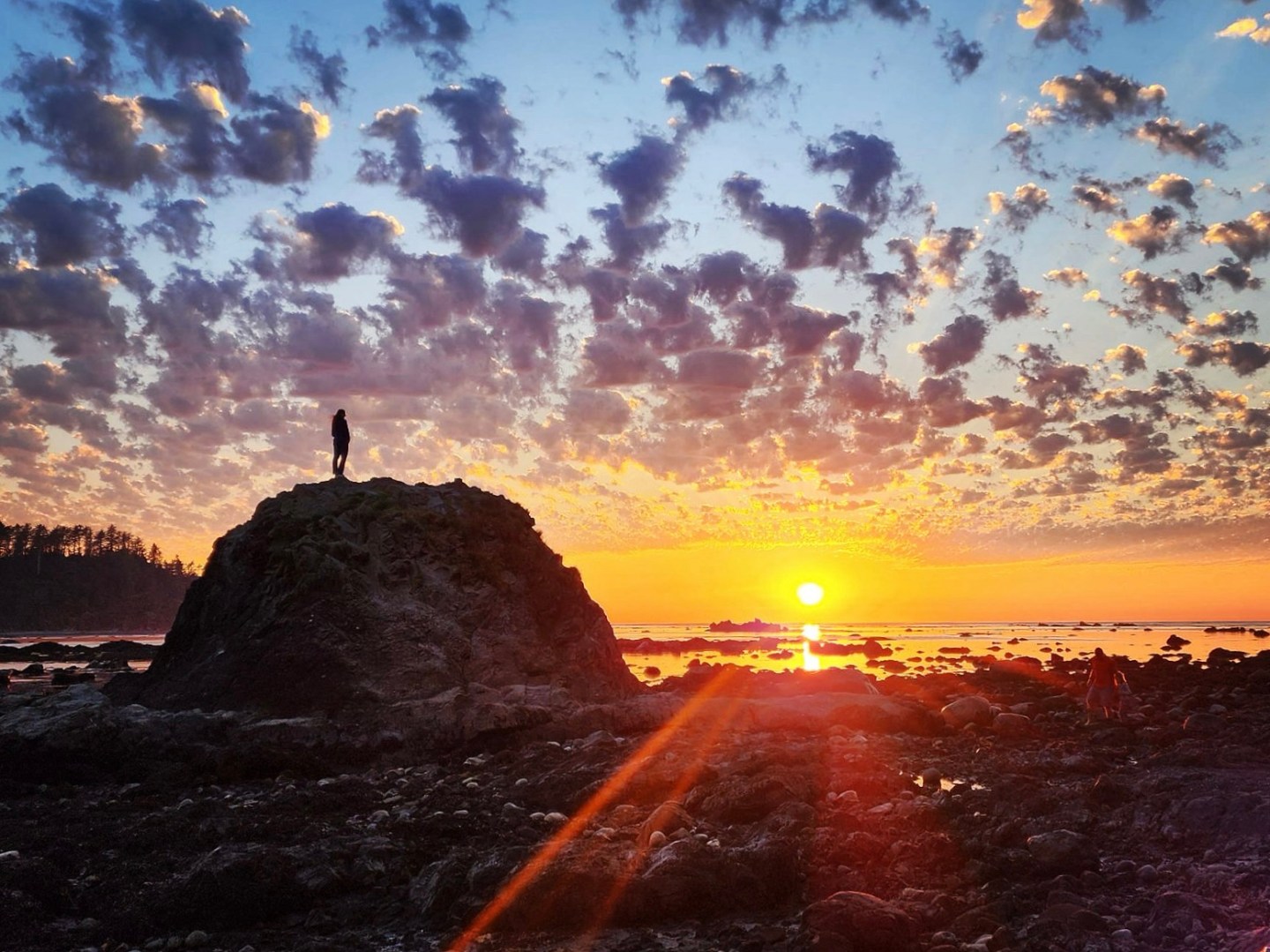 Ultimate Guide to Backpacking the Ozette Triangle in Olympic National ...