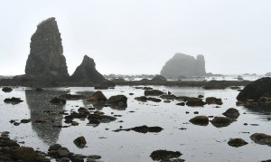 Ultimate Guide to Backpacking the Ozette Triangle in Olympic National ...