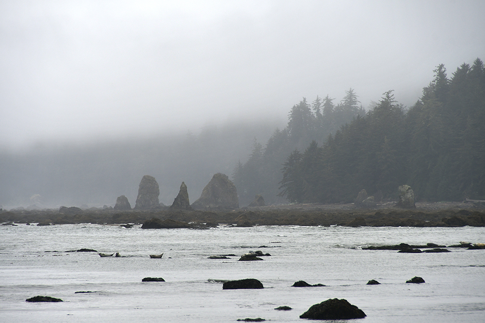 Ultimate Guide to Backpacking the Ozette Triangle in Olympic National ...