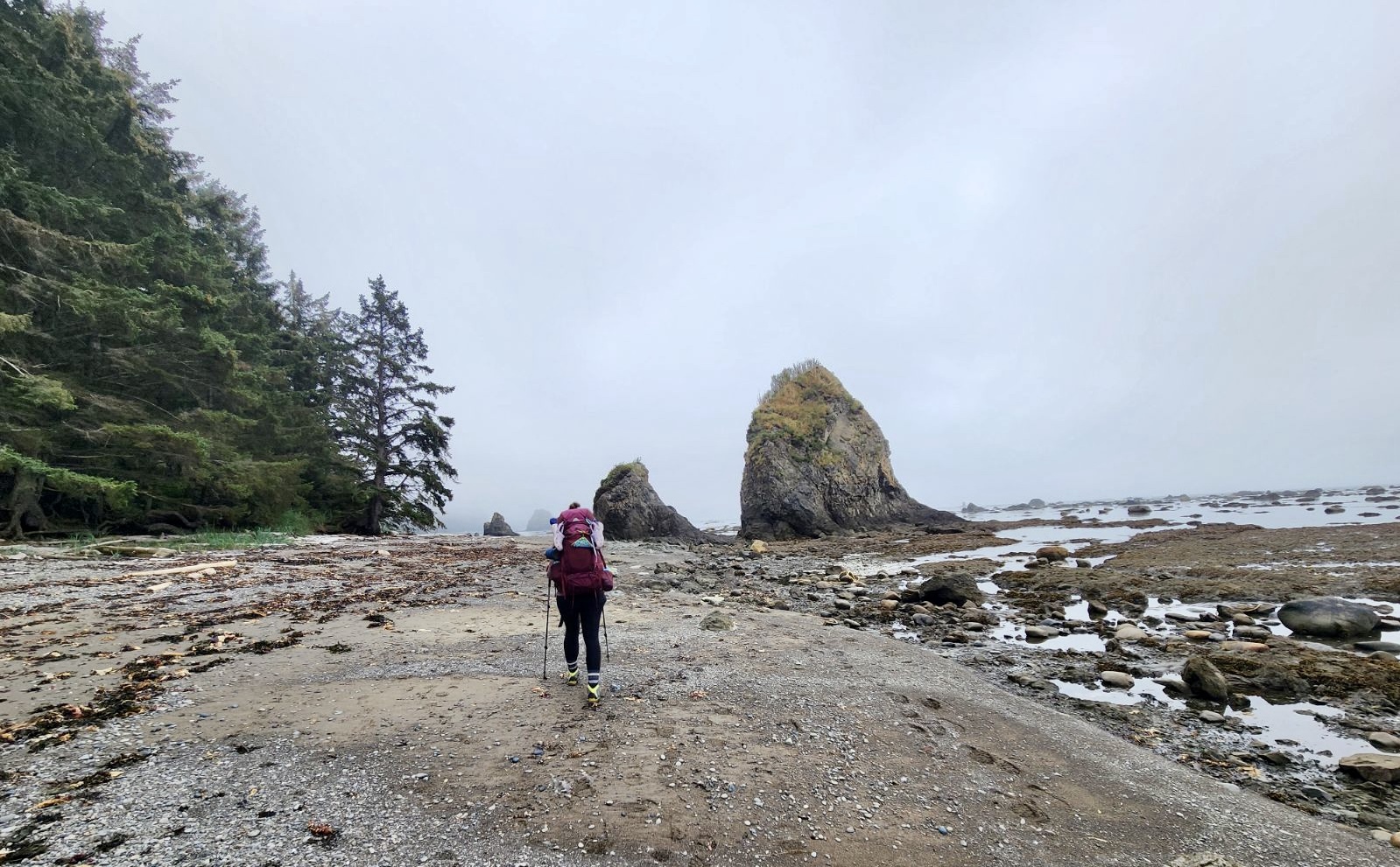Ultimate Guide to Backpacking the Ozette Triangle in Olympic National ...