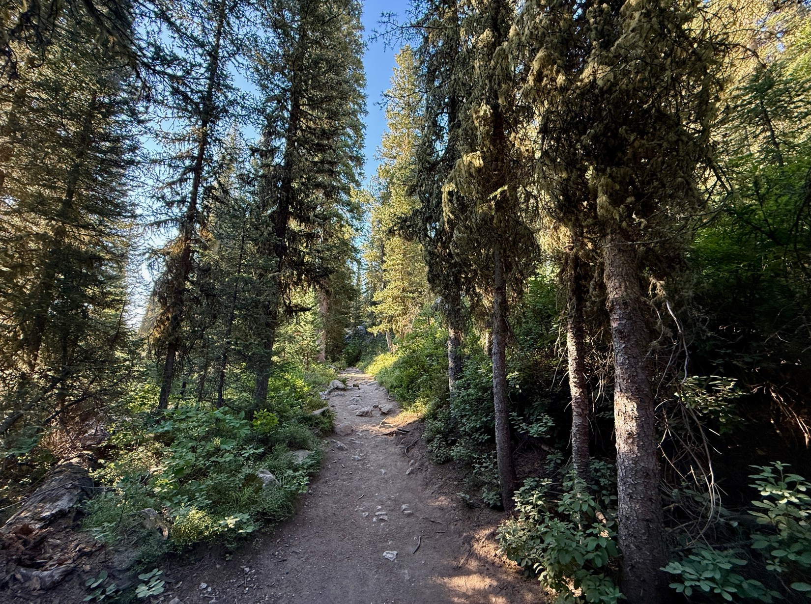 The Grand (Mis)Adventure: Day 3 -Amphitheater Lake Hike in Grand Teton ...